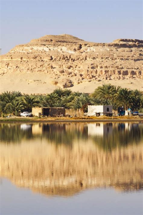 Siwa Oasis The Land Of Palm Trees Olives Sulphur Springs And The