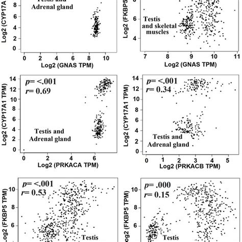 A Theoretical Model Of Testosterone Suppression Via The Cortisol Download Scientific Diagram