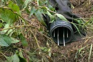 Critter Guard French Drain To Daylight French Drain Systems