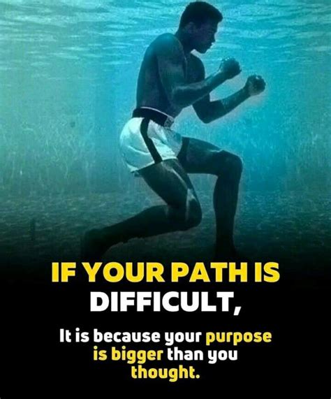 Narimane A Posted On Linkedin