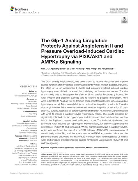 Pdf The Glp 1 Analog Liraglutide Protects Against Angiotensin Ii And Pressure Overload Induced