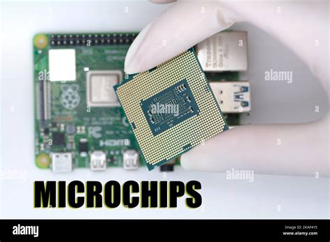 Silicon Chips