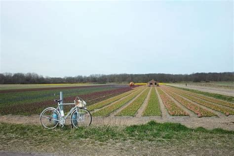 Beautiful Photos Of One Mans Bicycle Tell A Story Of His Journey