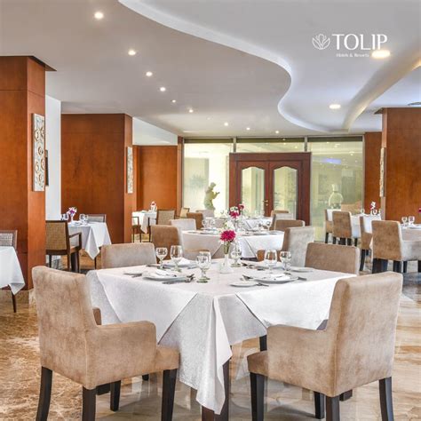 Tolip Tolipgroup Egypt Tolip Hotels And Resorts