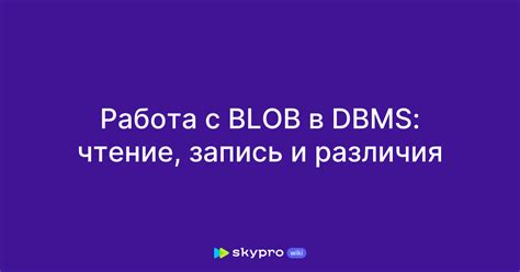Работа с Blob в Dbms чтение запись и различия
