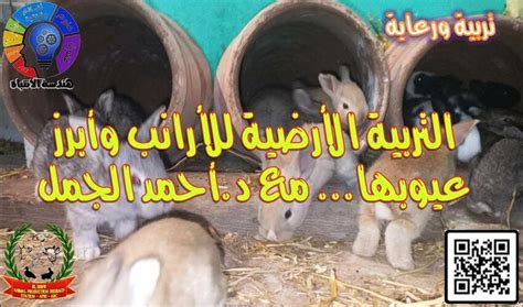 التربية الأرضية للأرانب وأبرز عيوبها مع دأحمد الجمل التربية Download Scientific Diagram