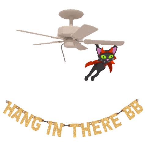 Hang In There Cat 