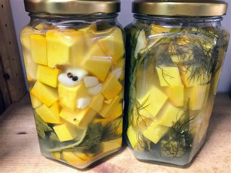 Fermented Pumpkin Permaculture Haven Australia