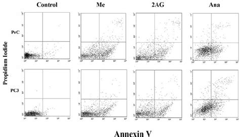 Flow Cytometric Analysis Of Fitc Annexin V Staining Primary Cell Download Scientific Diagram