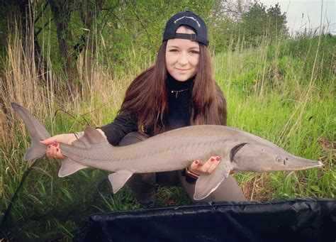 Jeseter Velký Chyť A Pusť