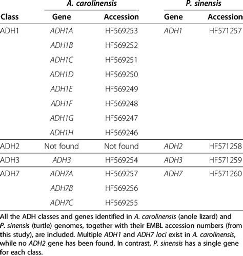 Adh Forms In A Carolinensis And P Sinensis Download Table