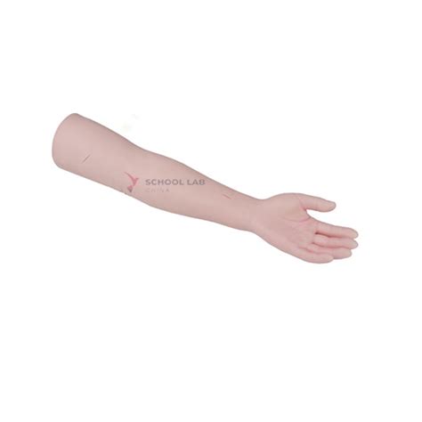 Suturing Practice Arm Model Manufacturers Suppliers And Exporters