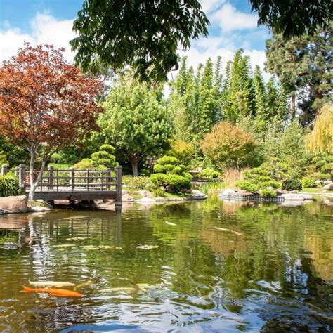 Csulb Fafsa Finals Cultural Graduation Celebrations And More