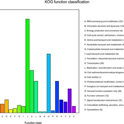 Functional Classification Of Genes In Tcdb Download Scientific Diagram