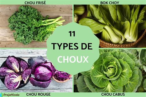 Quels Sont Les Différents Types De Parcs Rigides Btmpsp