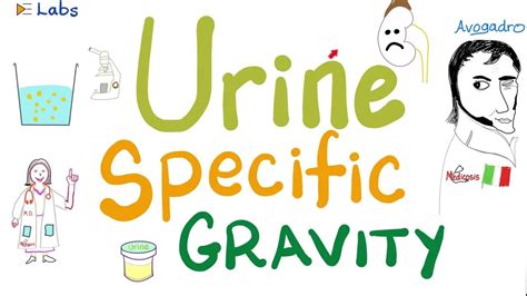 Urine Specific Gravity Density Concentrated Vs Diluted Urine