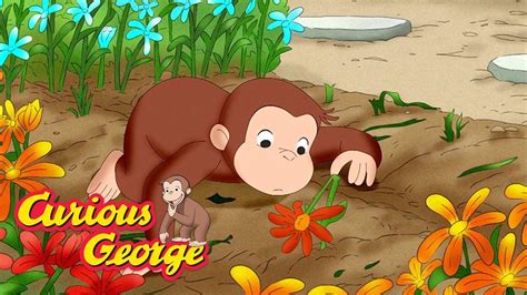 Curious George Desktop Wallpapers Top Free Curious George Desktop