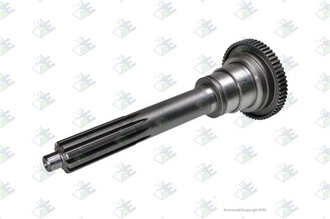 Input Shaft Race At Edna Weiss Blog