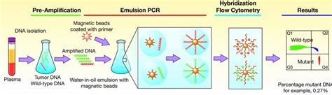 Les Principales étapes De La Méthode Beaming Beaming Est Réalisé Par 6