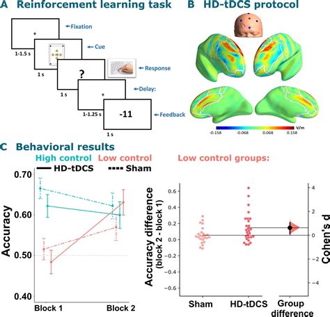 Medial Prefrontal Cortex