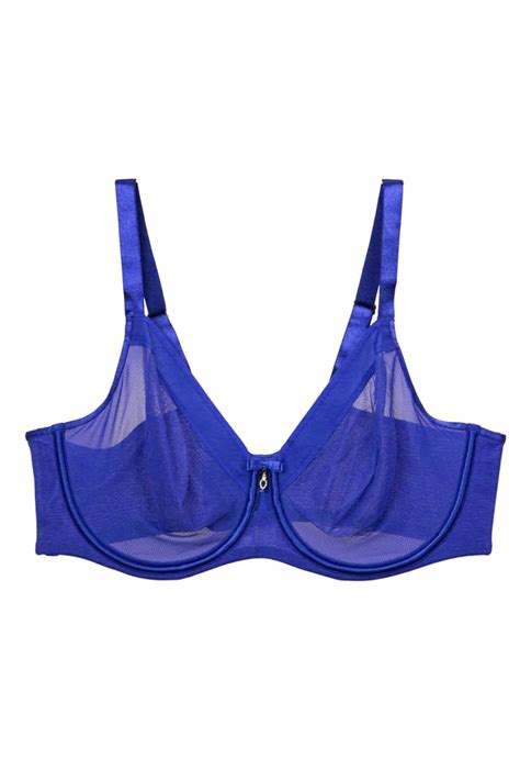 Sheer Mesh Unlined Underwire Bra Blue Chérie Amour
