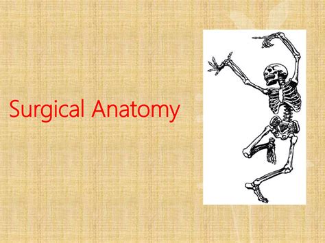Sympathectomy Pptx