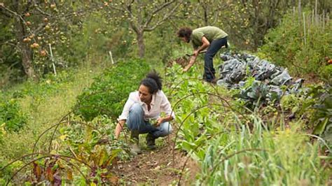 Mengenal Konsep Permaculture: Pemanfaatan Lahan yang Berkelanjutan di Desa Cikoneng | Cikoneng