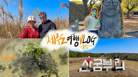 제주도여행 Vlog 11월의 제주도 걸어서 제주도속으로 자연 꽃 그리고 억새1년동안 볼 억새 이 날