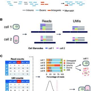 Comparing ScRNA Seq Protocol Performance Several Aspects Determine The