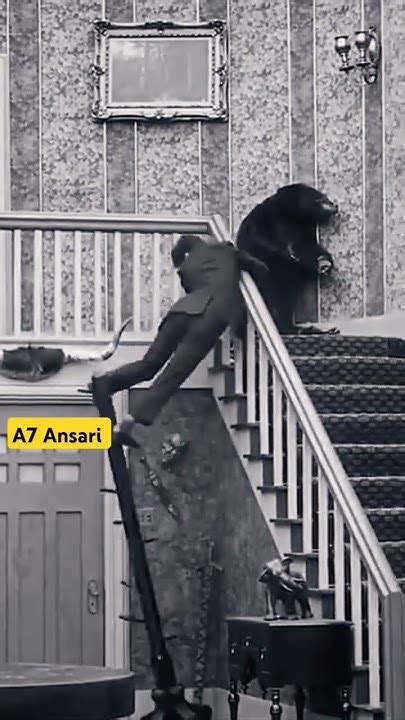 Charli Chaplan Funny Short Reels Funny Shortsviral Comedy Shortvideos Memes Viralvideos