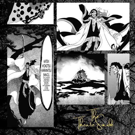 Shunsui Quotes Shunsui Kyōraku Bleach Wiki Fandom