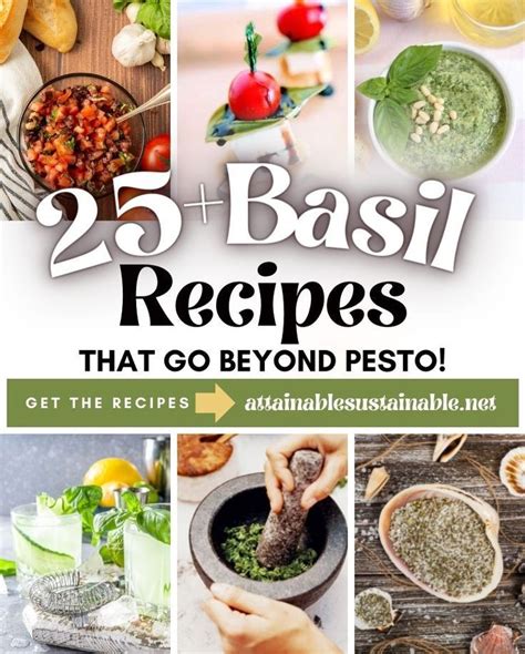 25 Basil Recipes That Are Not Pesto Basil Recipes Purple Basil