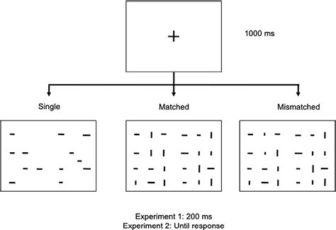 Figure 1 From Size Averaging Of Irrelevant Stimuli Cannot Be Prevented Semantic Scholar