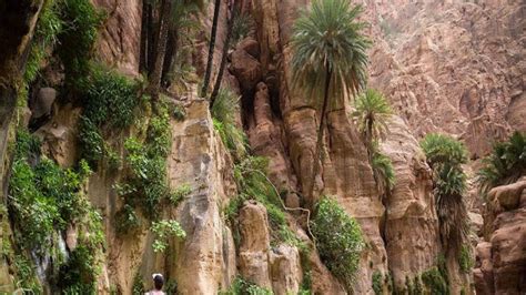 85 بالمئة نسبة حجوزات الفنادق في محمية ضانا خلال عطلة العيد