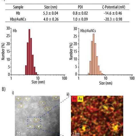 Characterization Of Hb Auncs A Size Polydispersity Index Pdi And