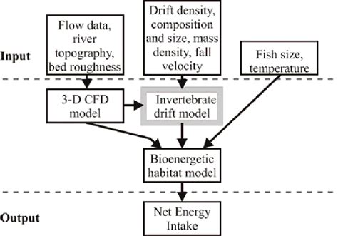 8 Proposed Bioenergetic Model Schematic Download Scientific Diagram