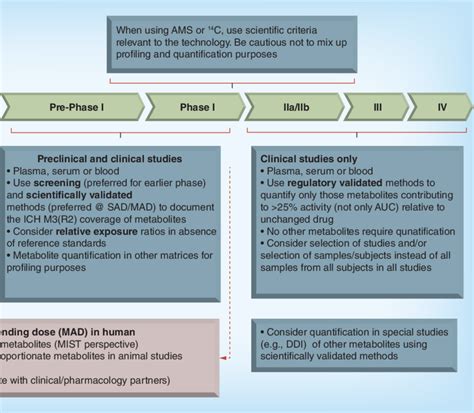 Updated Ebf Recommendation For Metabolite Quantification Download