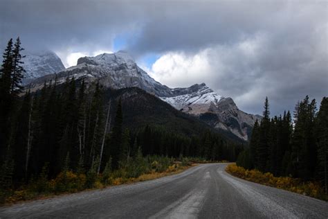 🍁kananaskis Fall Larch Viewing Guide 11 Top Spots Photo Tips