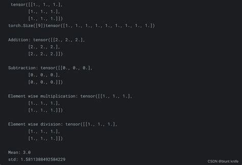 神经网络与深度学习 第四次作业 Pytorch基础知识 Csdn博客