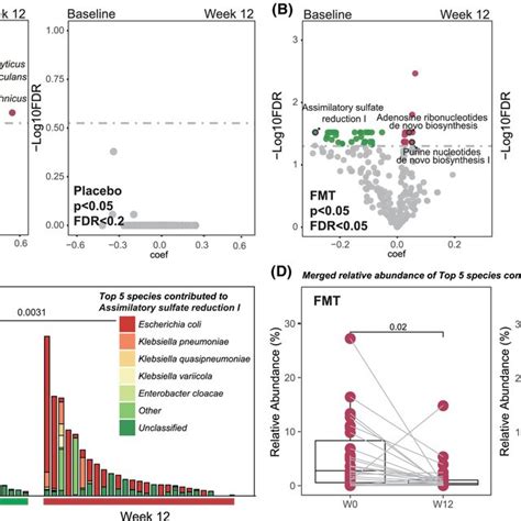 Faecal Microbiome Dynamics Over 12 Weeks Between Groups A Faecal