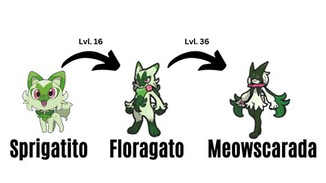 Pokémon Scarlet And Violet All Starters And Evolutions The Daily Juice