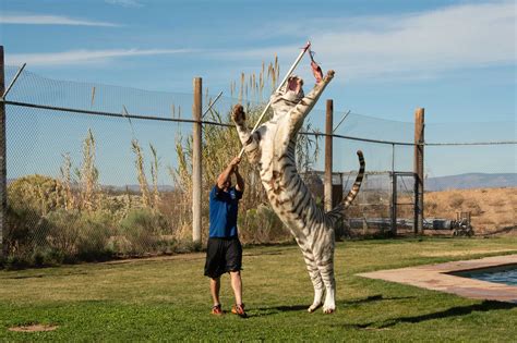 People And Events Matt In Flagstaff