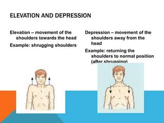 Elevation Movement