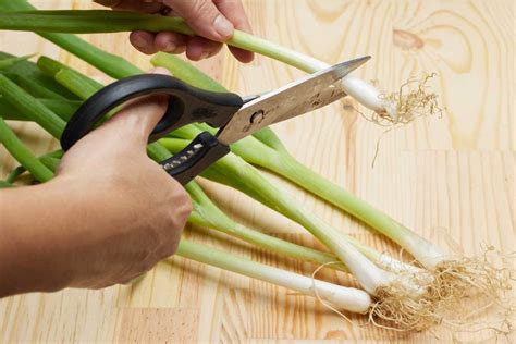 Leeks Kimchi Starter Sisters