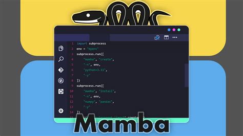 How To Set Up A Development Environment With Mamba