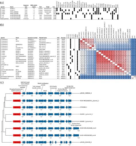 In Silico Characterization Of Mcr 4 Containing Plasmids A Short Read