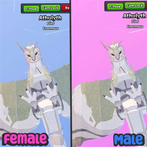 Athulyth Gender Dimorphism