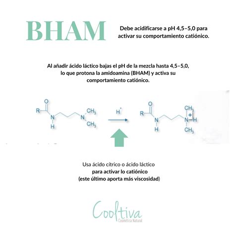 Behenamidopropyl Dimethylamine Emulsionante Bio Cooltiva