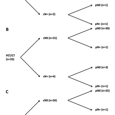 A Flowchart Displaying The Clinical And Pathological Neck Staging For