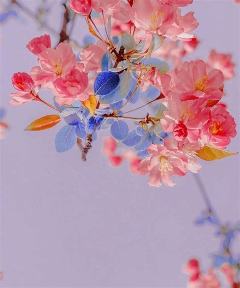 Botanical Art | ВКонтакте